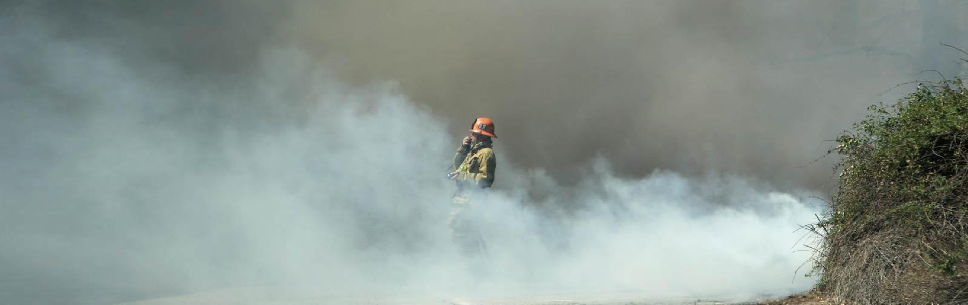 Sample-Career-Ranks | Los Angeles Fire Department