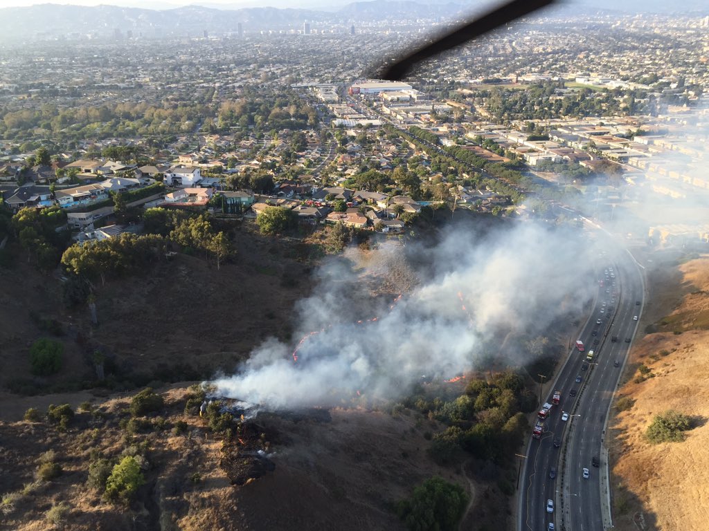 Firefighters Stop Brush Fire In Its Tracks | Los Angeles Fire Department