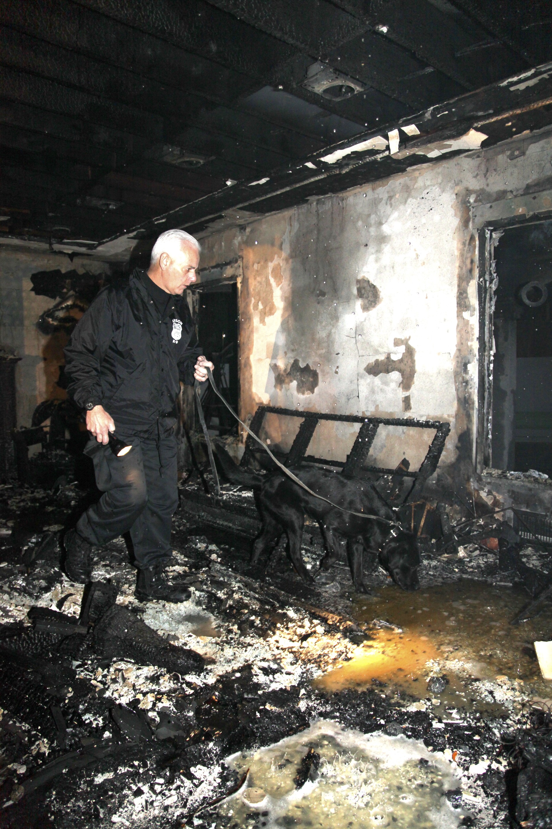 LAFD Mourns the Passing of Accelerant Detection Canine, Major | Los ...