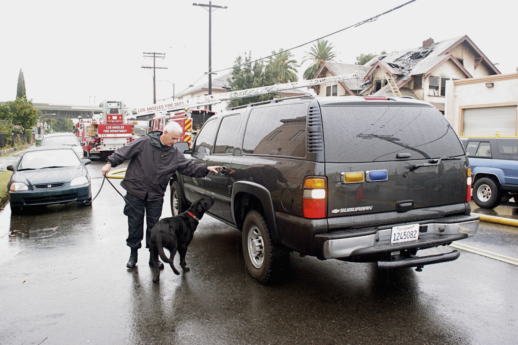 LAFD Mourns the Passing of Accelerant Detection Canine, Major | Los ...