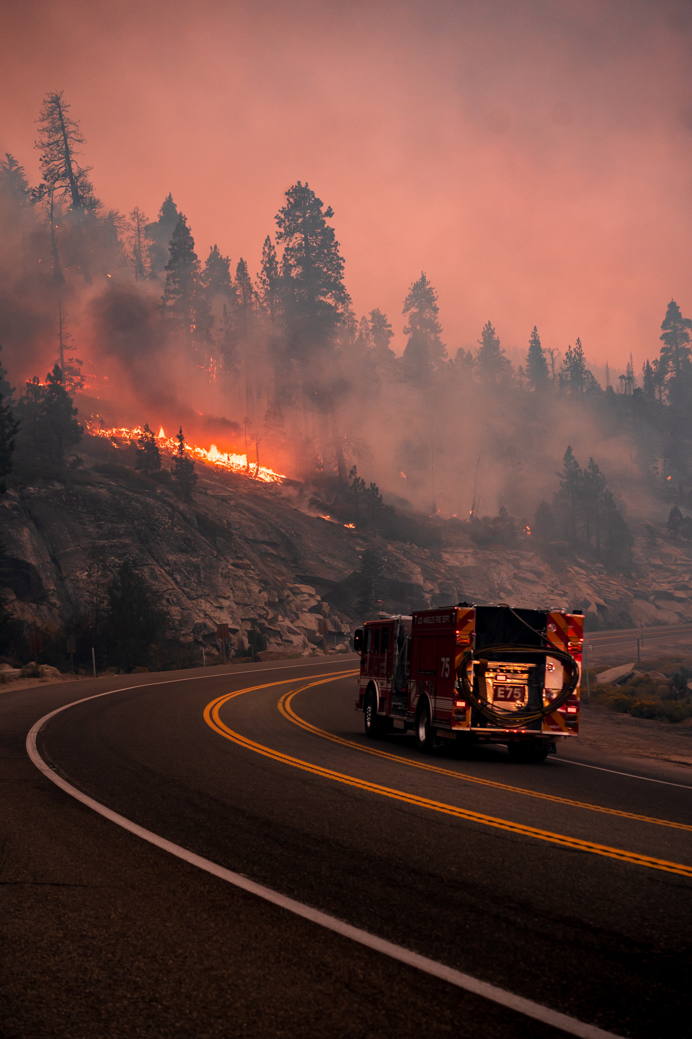 2021 LAFD Photo of the Year | Los Angeles Fire Department
